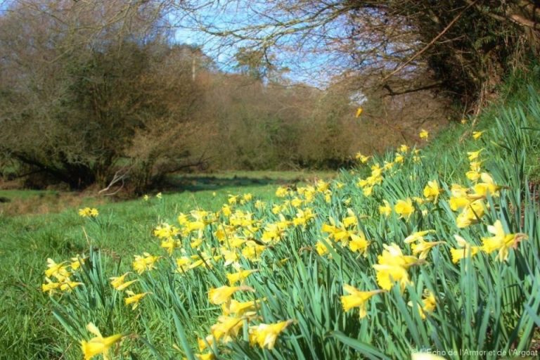 Site officiel de la commune d'Annay (58)